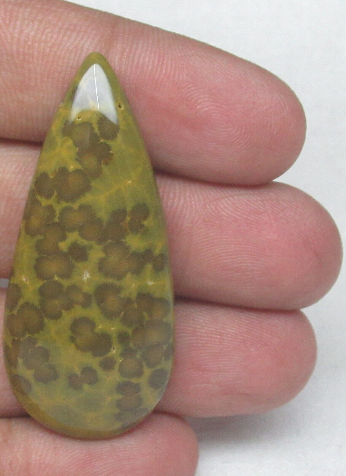 Natural Ocean Jasper Cabochon Pear 60.35 ct Loose Handmade Gemstone H ...