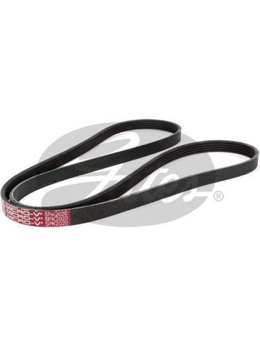 Gates Micro-V Ribbed Belt (5PK2020) (8653-10434) | eBay