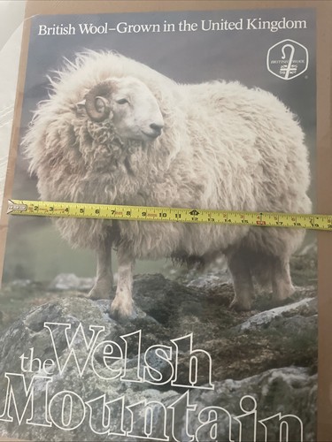 Vintage British Wool Board The Welsh mountain Poster Print | eBay
