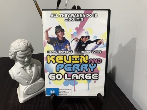 Kevin And Perry Go Large - DVD - (GS3) 9397910828598 | eBay Australia