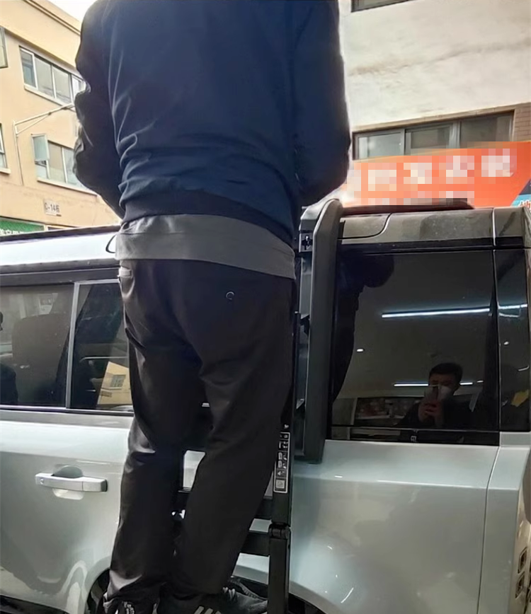 Foldable side Ladder Protective Frame Tasman Blue Fits Defender 110 90 ...