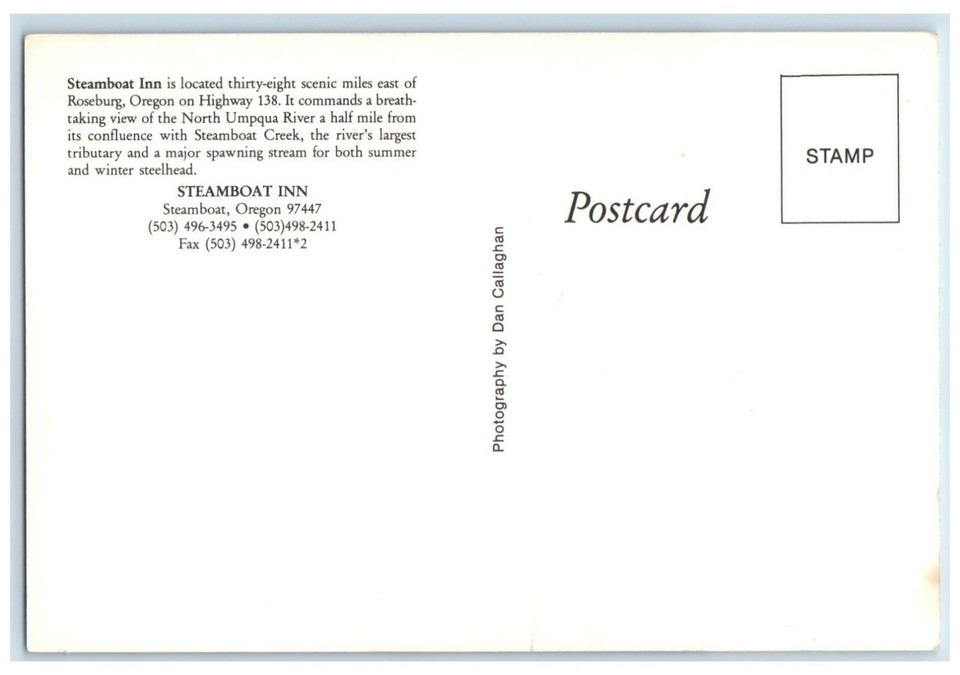 c1960 Scenic View Steamboat Inn Lake River Roseburg Oregon OR Unposted ...