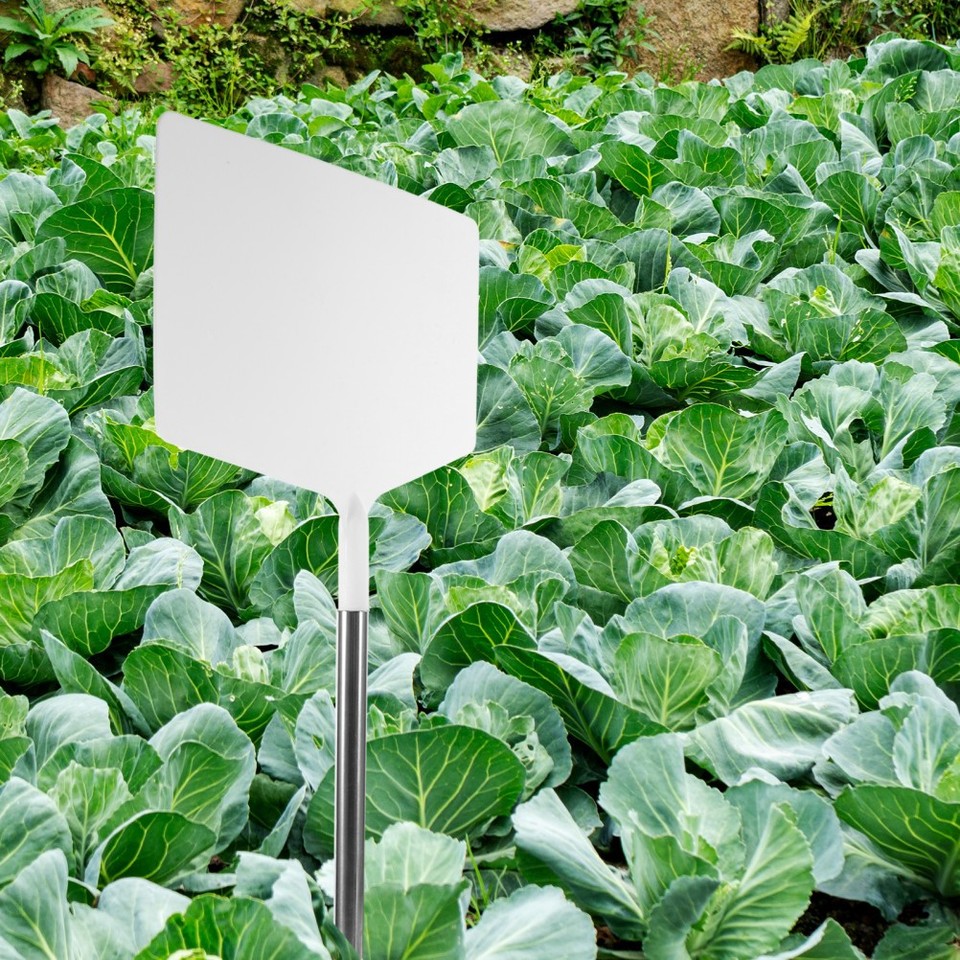 Nursery Garden Markers Plastic Vegetable Category Tag Identification ...