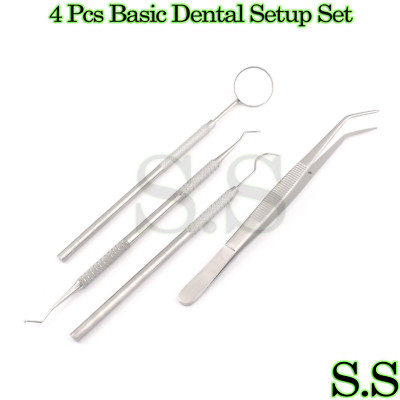 4 Pcs Basic Dental Setup Set Mirror Probe Pliers Excavator PR-0029 | eBay