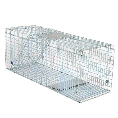 Humane Live Animal Control Steel Trap Cage 32"x12.5"x12" Raccoon Skunk ...