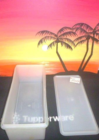 Tupperware 9 x 13 Cold Cut Keeper/Snack Stor #290 + JUMBO 13" Bread ...