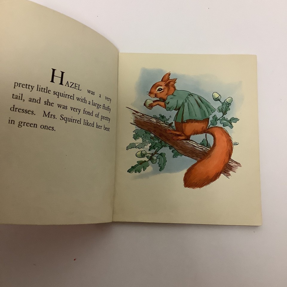 Mrs Squirrel and Hazel Hide and Seek at Blackberry Farm Jane Pilgrim ...