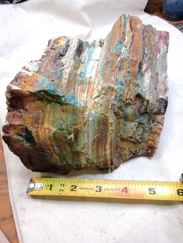 🔥5.5 Pound Larsonite Chunk McDermitt NV Bog Petrified Wood Green ...