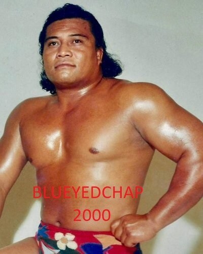 PETER MAIVIA WRESTLER 8 X 10 WRESTLING PHOTO NWA WWWF | eBay