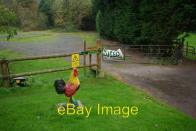 Photo 6x4 North Devon Farm Park Swimbridge Newland Very much out of ...