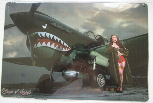 New Metal Sign- WWII P-40 Fighter Plane- USAAC- USAF- Pin Up- Wings of ...