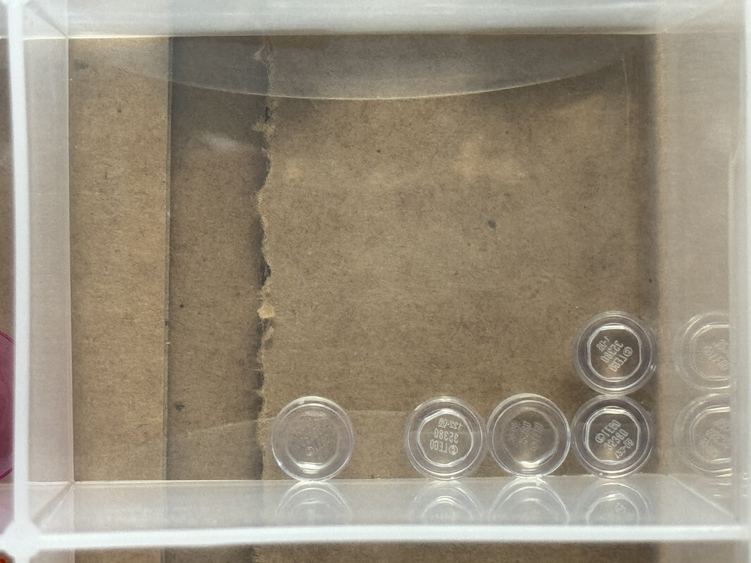 LEGO Parts - Trans-Clear Tile, Round 1 x 1 - No 98138 - QTY 5 | eBay