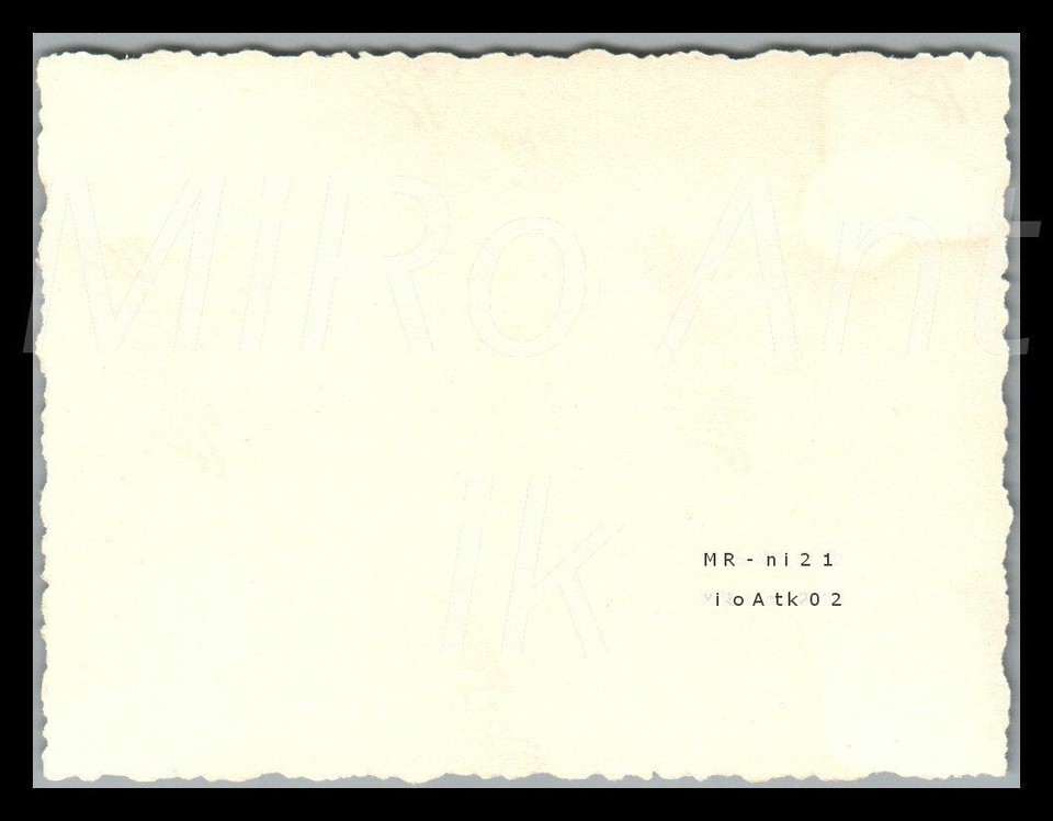 Photo, WW2, 2./Pi.Btl.36 Mainz-Kastel, 4. Train during outdoor sports ...