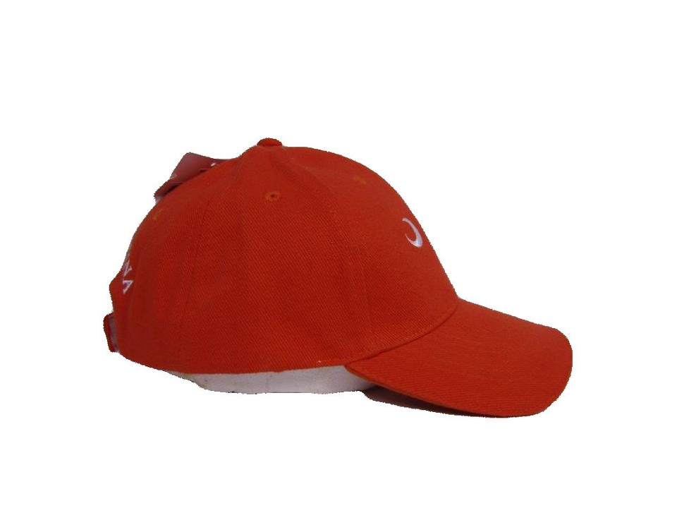 South Carolina SC State Palmetto Orange Embroidered Cap Hat | eBay