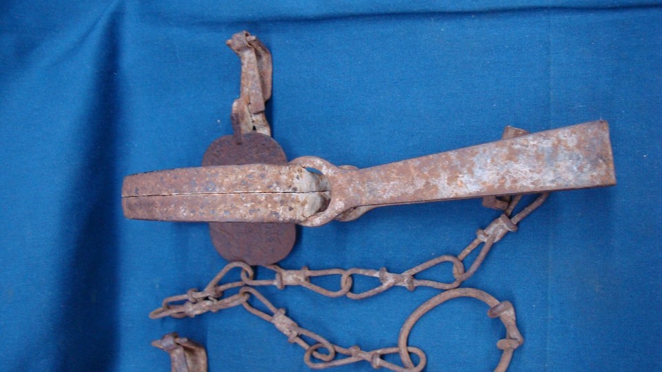 Vintage Lot of 3 Victor Number 1 1/2, 29 Oz Long,Spring Traps | eBay