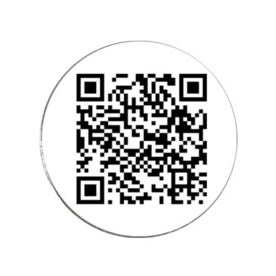 Rick Roll QR Code Logo Funny Prank Golf Ball Marker Novelty Gift | eBay