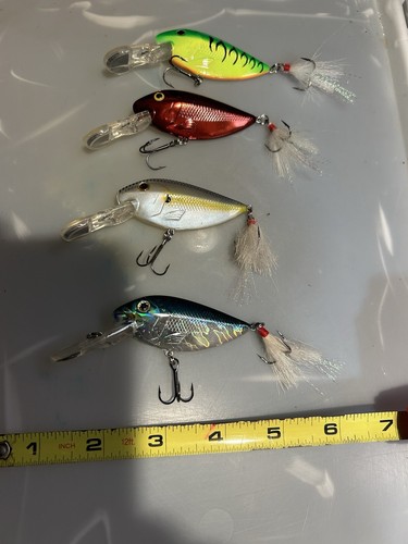 (4) Cabelas Deep Rattling Flat Shad | eBay