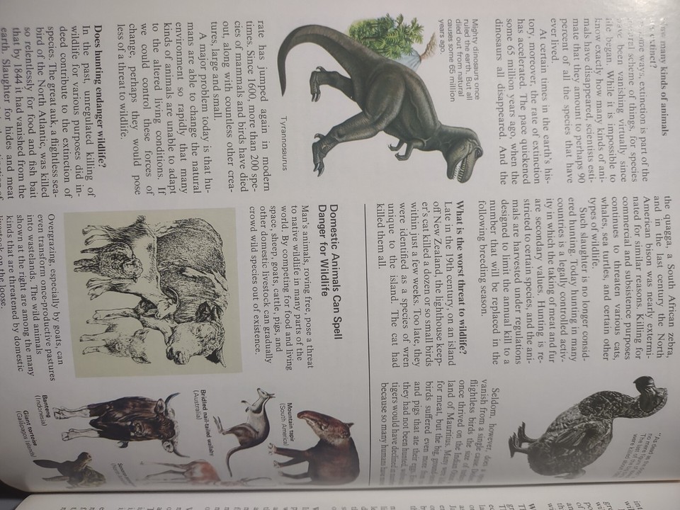 ABCs of Nature A Family Answer Book by Reader's Digest 1985 5824 | eBay