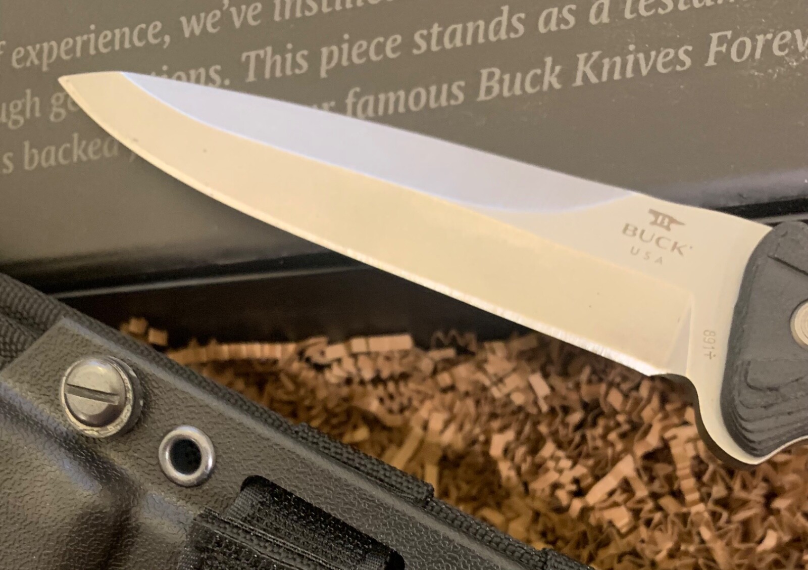 BUCK 891 SPEARPOINT KNIFE W/ SHEATH NEVER USED IN BOX BT 1 | eBay