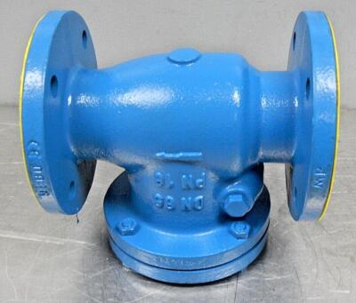 ECONOSTO DN65 PN 16 SWING CHECK VALVE FLANGED STEEL BODY | eBay