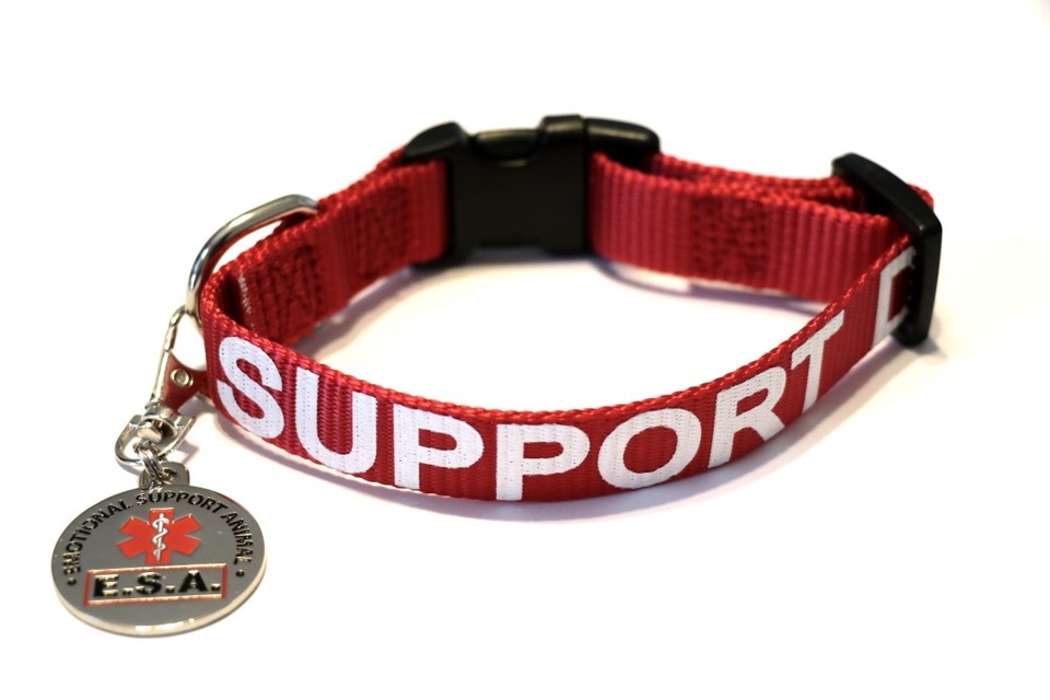 Service Dog ESA Emotional Support Animal Harness Collar & Tag ALL ...