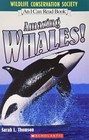 AMAZING WHALES - Paperback By SARAHLTHOMPSON - GOOD | eBay