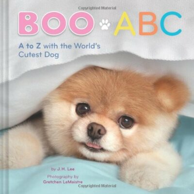 Boo ABC hc by J.H. Lee Book The Fast Free Shipping 9781452109190| eBay