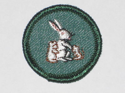 Vintage Rabbit Patch Girl Scout Badge Animal Raiser Mouse RARE Unused ...