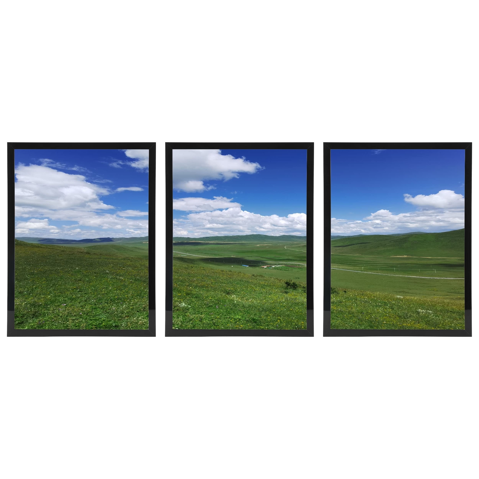 12x16 Picture Frame Black Display Pictures 12" x 16" Set Of 1 Pack ...