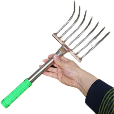 Small Hand Clamming Beach Rake Stainless Steel Sand Mussel Clam Pipi ...