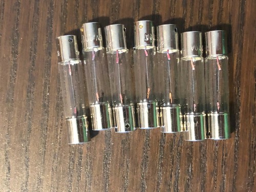 7 New Warm White 6V Fuse Lamp Light Bulbs 6.3v 250ma ORIGINAL for ...