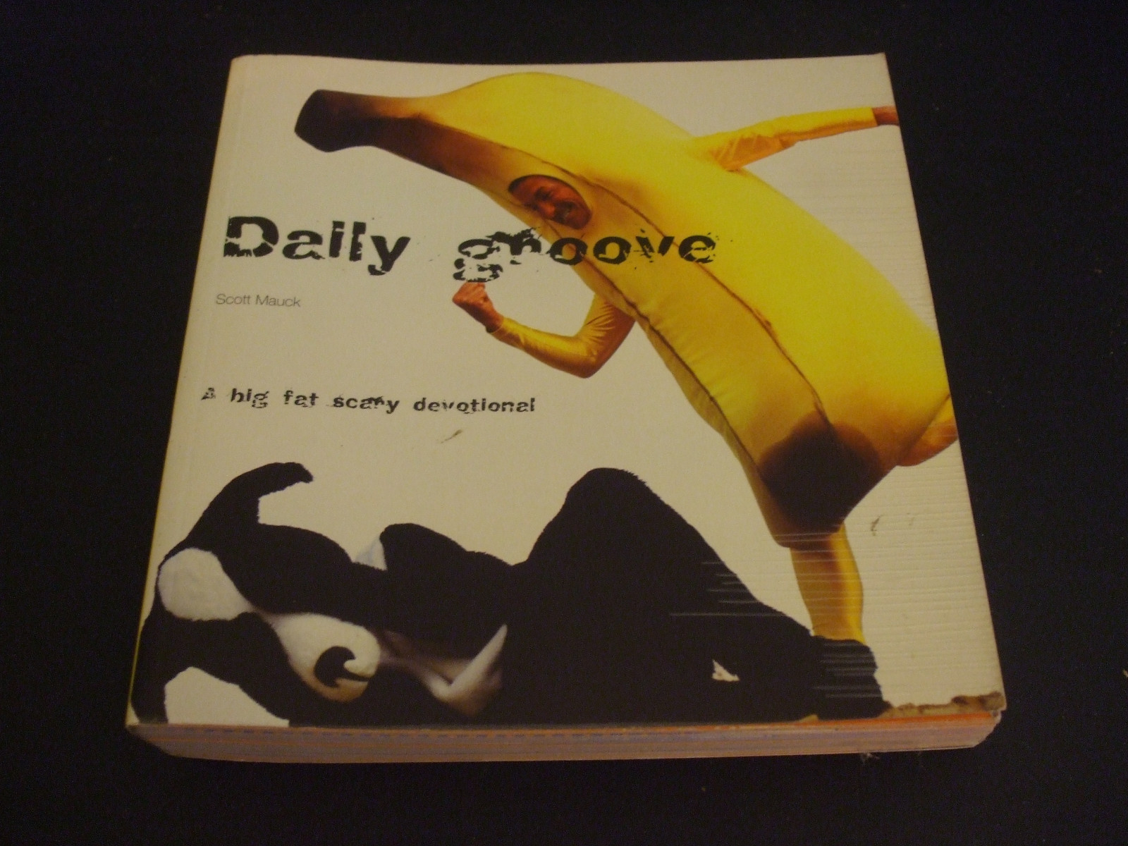 Daily Groove : A Big, Fat, Scary Devotional by Scott Mauck (2002 ...