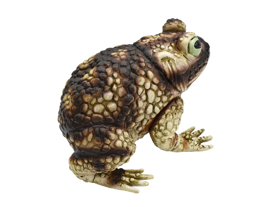 10" Giant Cottage Core Realistic Frog Toad Garden Prop Decoration ...