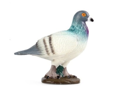 Columbidae Pigeon Bird Animal Toy PVC Action Figure Doll Kids Toys ...