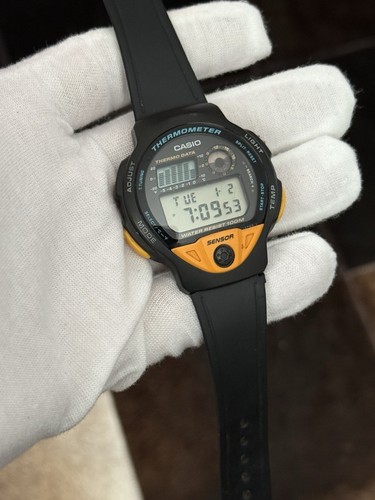 Vintage Casio TS-200 Men’s Digital Thermometer Sports Watch Module 987 ...