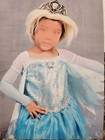 Official Disney Frozen Elsa costume dress up Halloween birthday ...