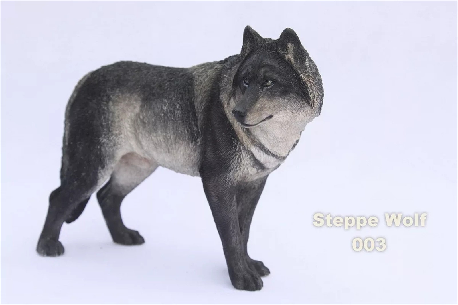 JXK 1:6 Scale Steppe Wolf Model Wild Animal Figure Toy Collection ...