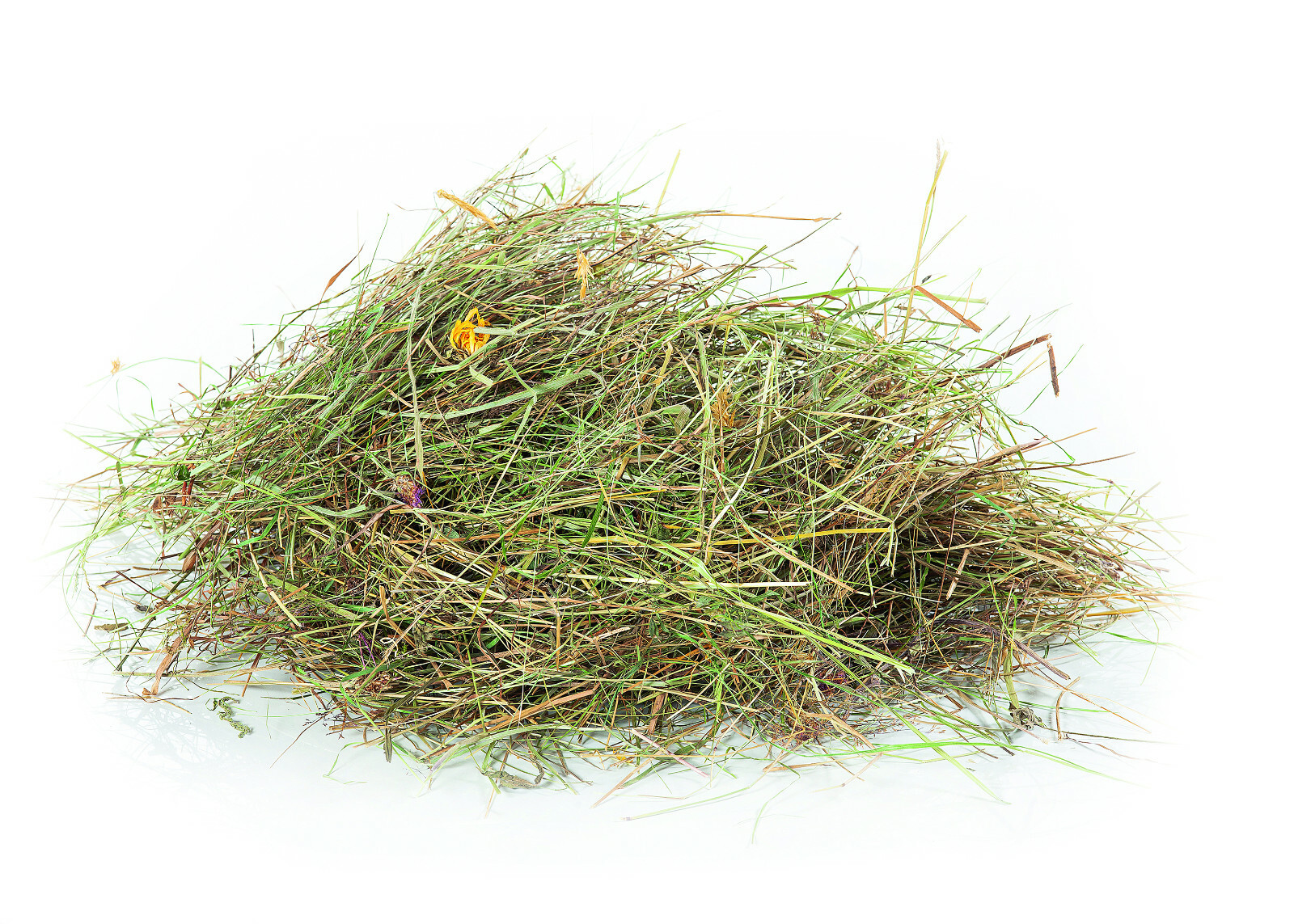 Heu-Tom® 5kg frisches Wiesenheu Futter für Meerschweinchen Kaninchen ...