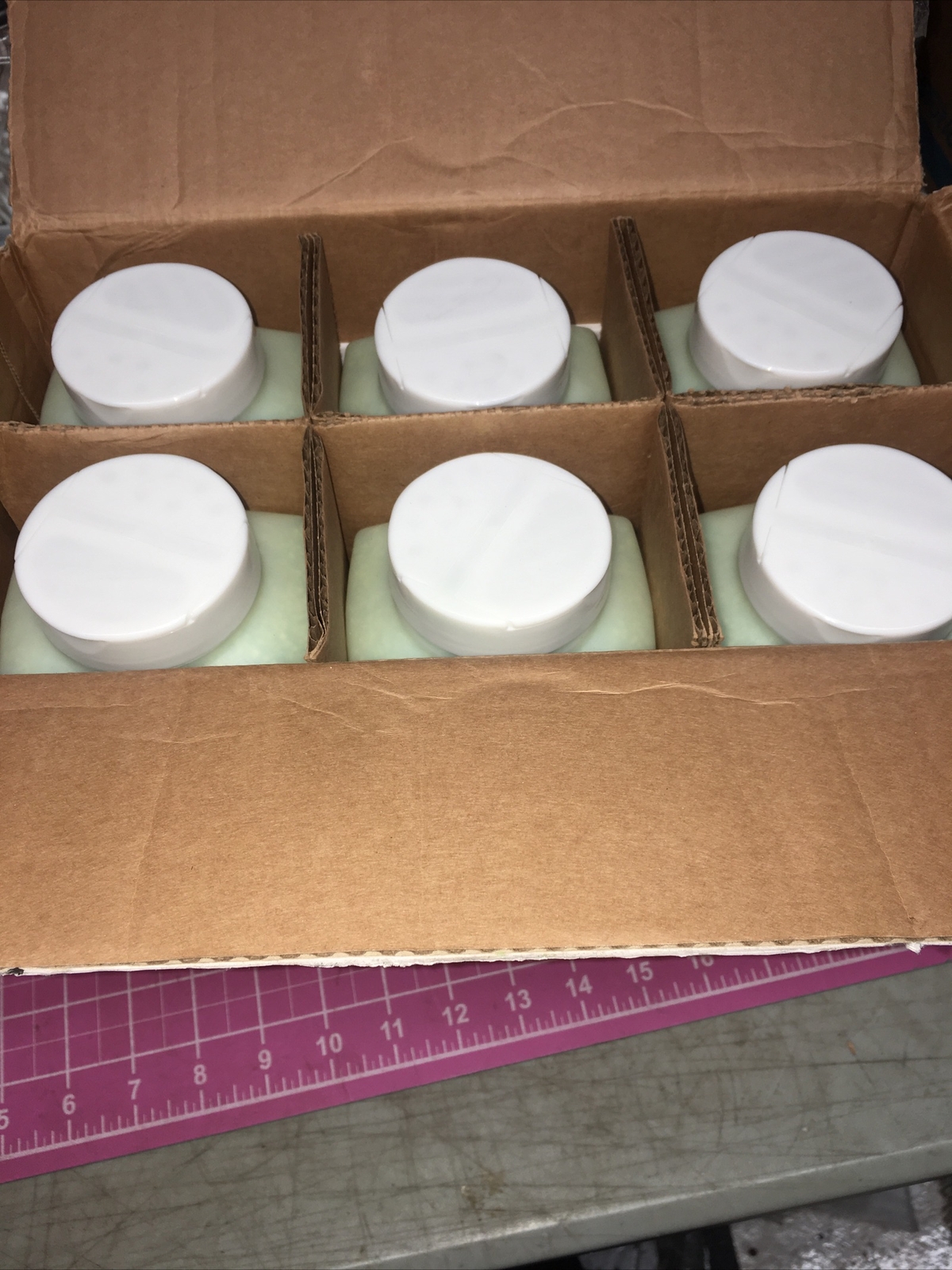 ANSUL SCK-FR-R/78435 Formaldehyde Solidifier Refill 1.85 LBS. 6PK. 👀 ...