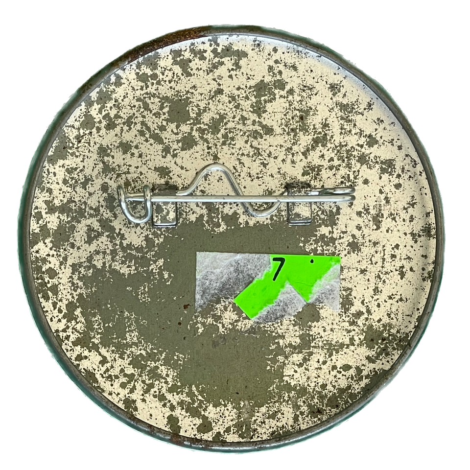 Hubbard DFL Minnesota DFL Party Pinback 2.25 diameter | eBay