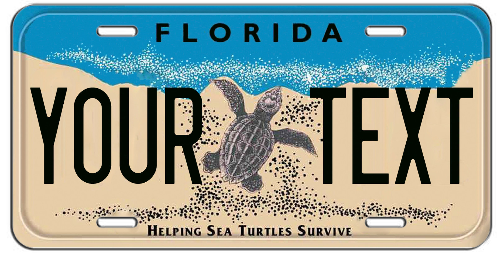 PERSONALIZED CUSTOM FLORIDA TURTLE VANITY LICENSE PLATE AUTO TAG | eBay