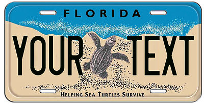 PERSONALIZED CUSTOM FLORIDA TURTLE VANITY LICENSE PLATE AUTO TAG | eBay