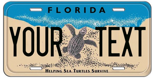 PERSONALIZED CUSTOM FLORIDA TURTLE VANITY LICENSE PLATE AUTO TAG | eBay