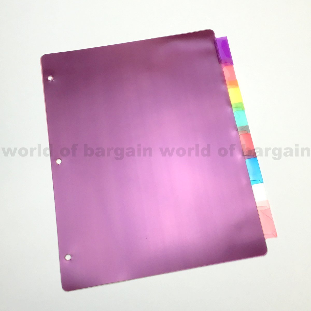 Plastic Folder With Dividers