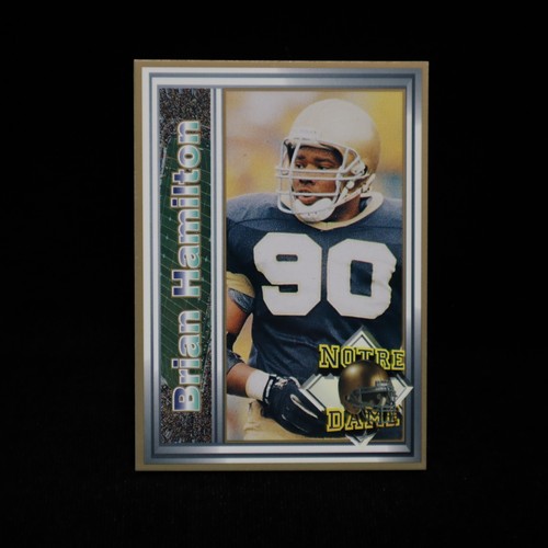 1993 Brian Hamilton University of Notre Dame #90 | eBay