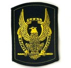 Coast Guard Semper Paratus SERT Patch LOT of 2 Eagle Engineering ...