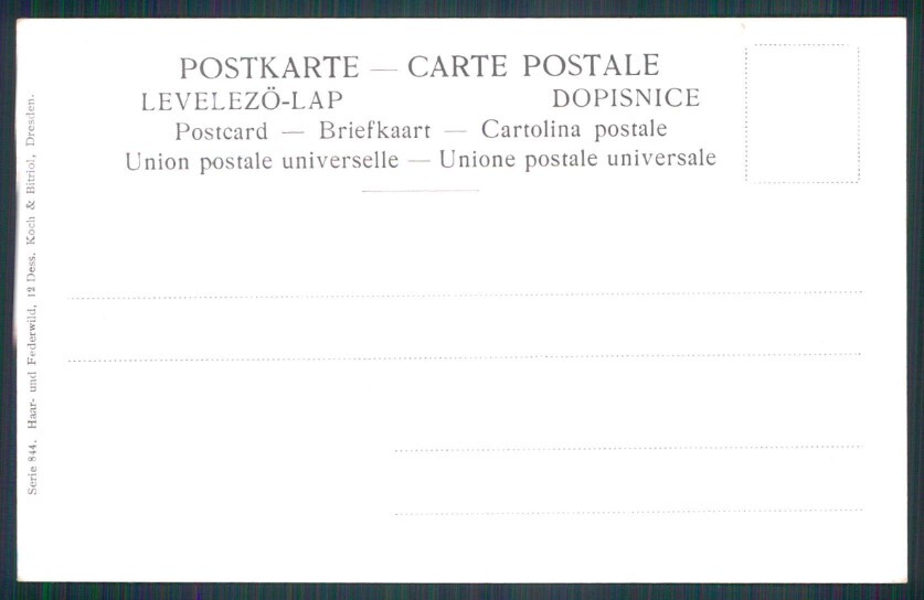 Artist Signed August Muller Hunt Tetraonidi serie 844 cartolina XP9630 ...