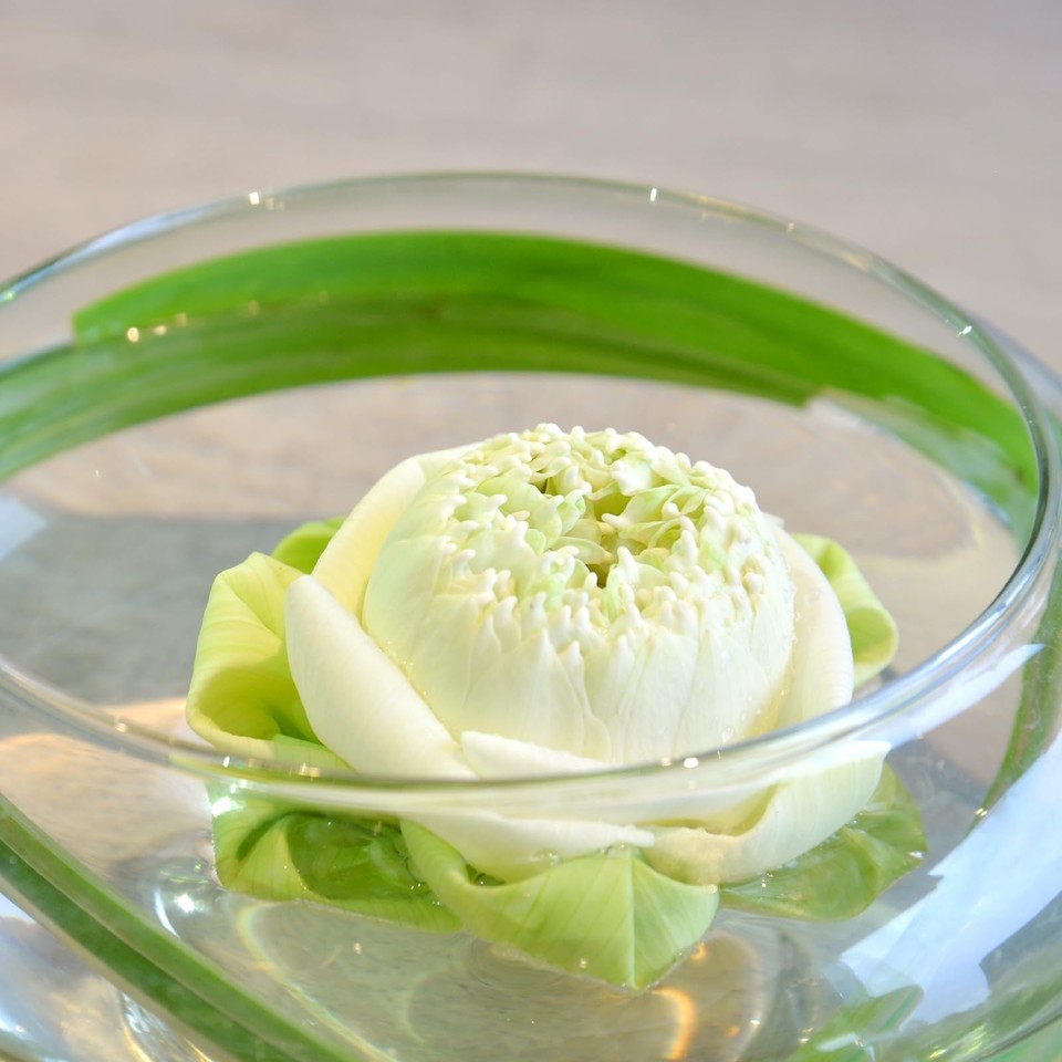 3 Pcs Hydroponic Planter Lotus Flower Pot Planter Lotus Bowl Clear ...