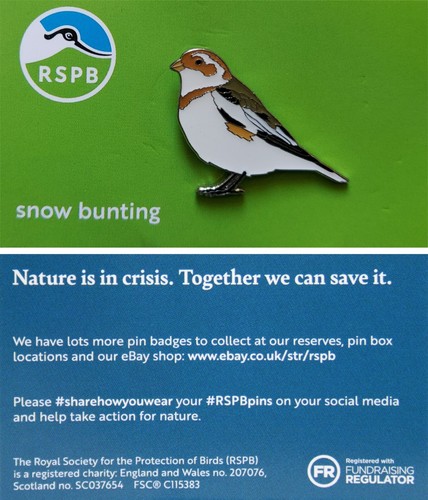 RSPB Pin Badge Snow Bunting NIIC P03130 | eBay