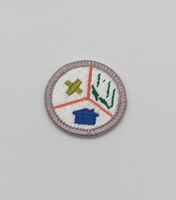 BSA EMERGENCY PREPAREDNESS MERIT BADGE MINT | eBay